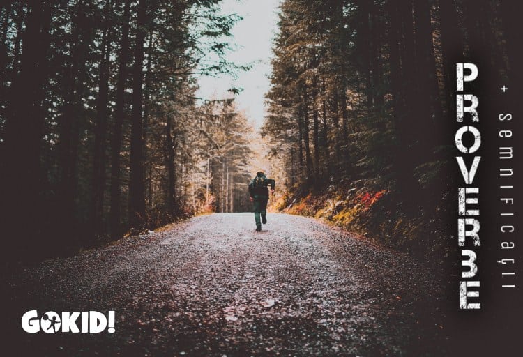 333+ Proverbe cu Semnificații Scurte și Ușor de Înțeles. Listă în ...