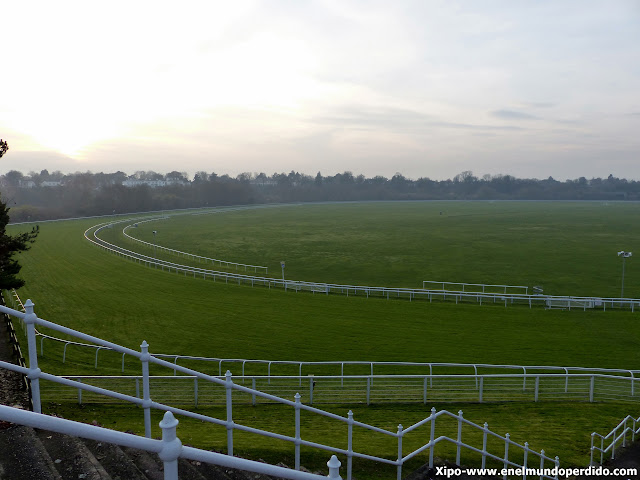 Qué ver y qué hacer en Chester - En el mundo perdido