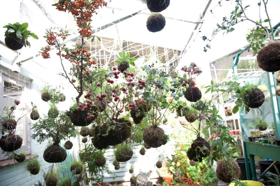 string gardens for the home