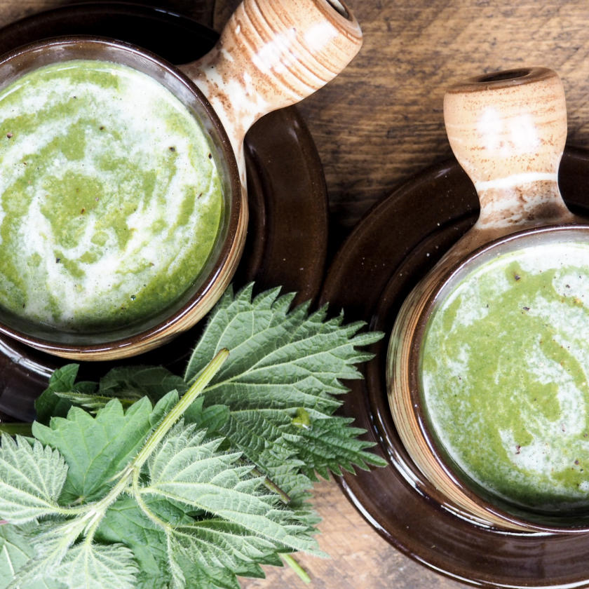 Go Wild! 25 Vegan Recipes For Foraged Food - Eluxe Magazine