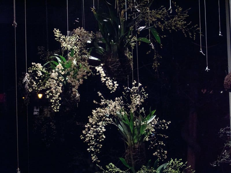 string gardens for the home