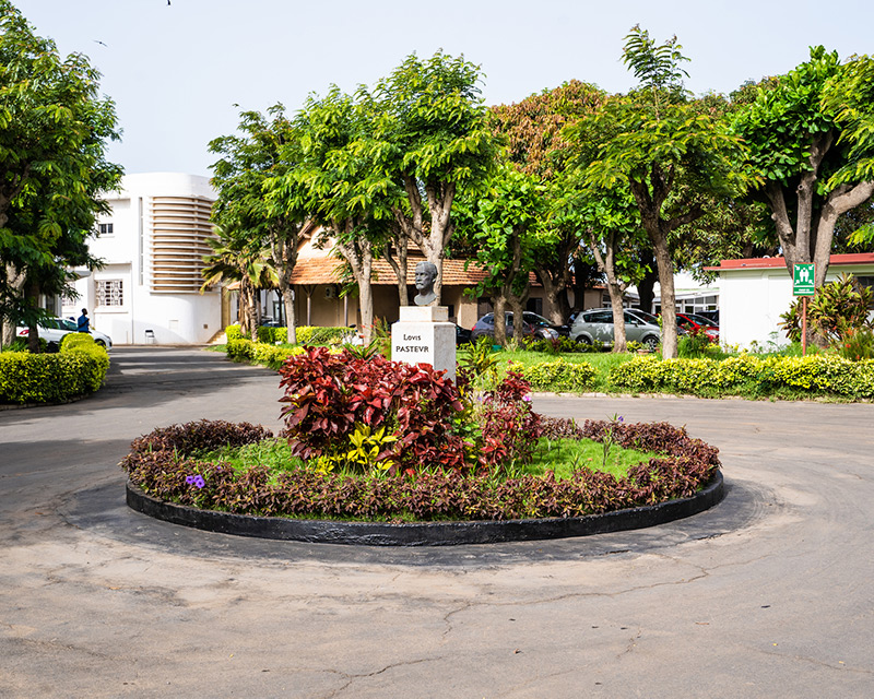 IPD Home - Institut Pasteur Dakar